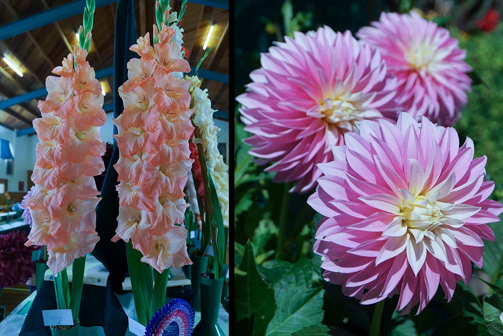 Members Gardening Club Photo Gallery | Brightwater Horticultural Society