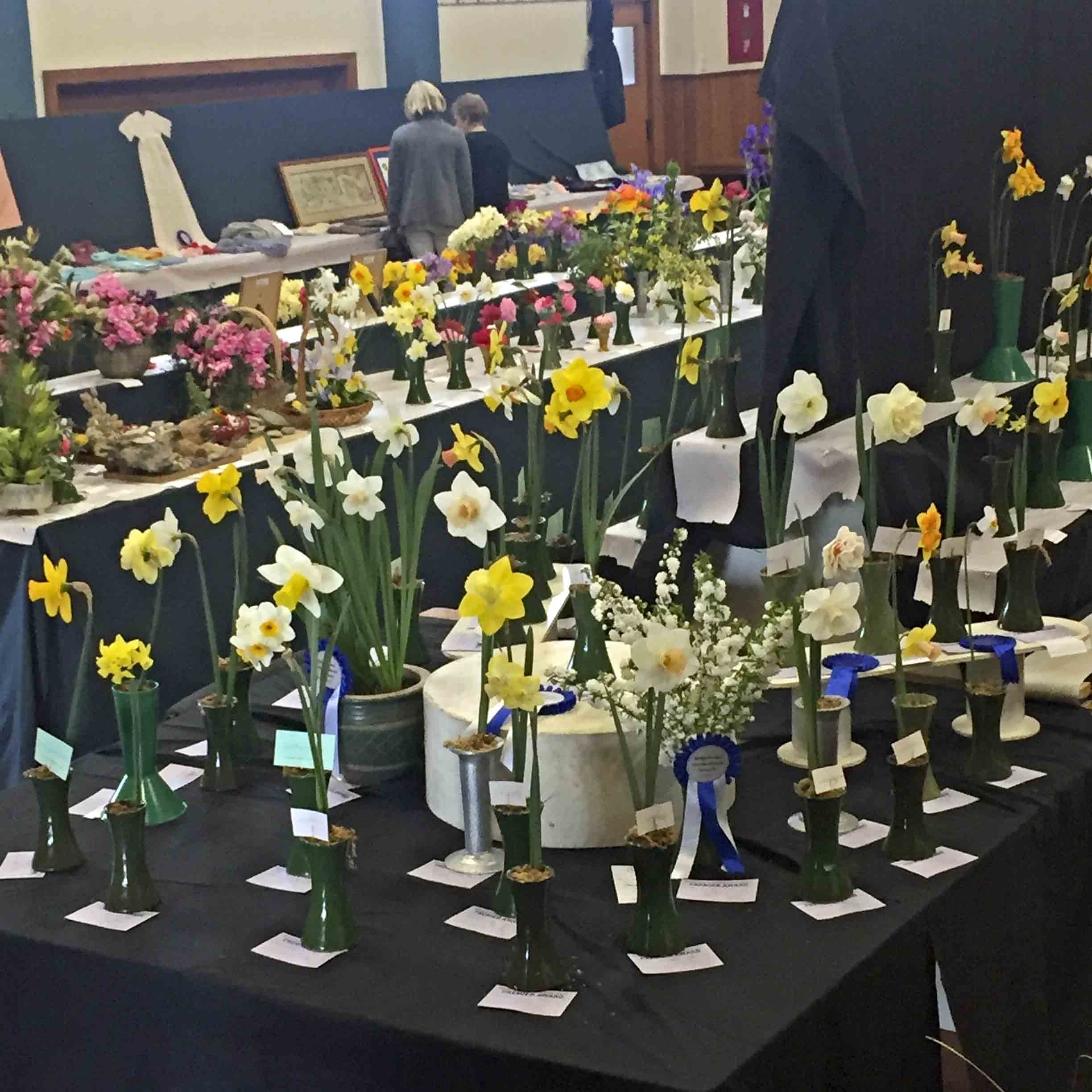 2018 Spring Flower Show Photos | Brightwater Horticultural Society
