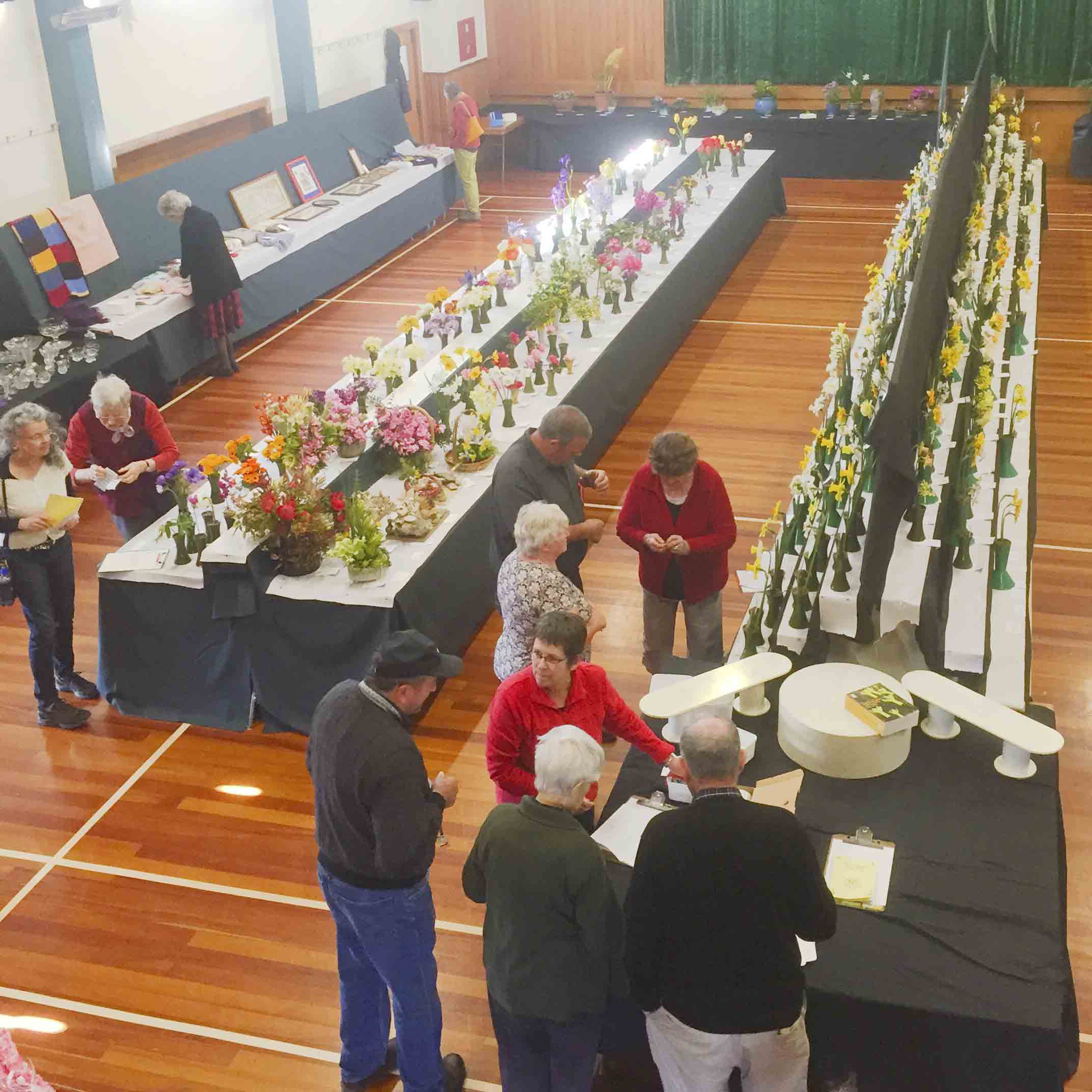 2018 Spring Flower Show Photos | Brightwater Horticultural Society