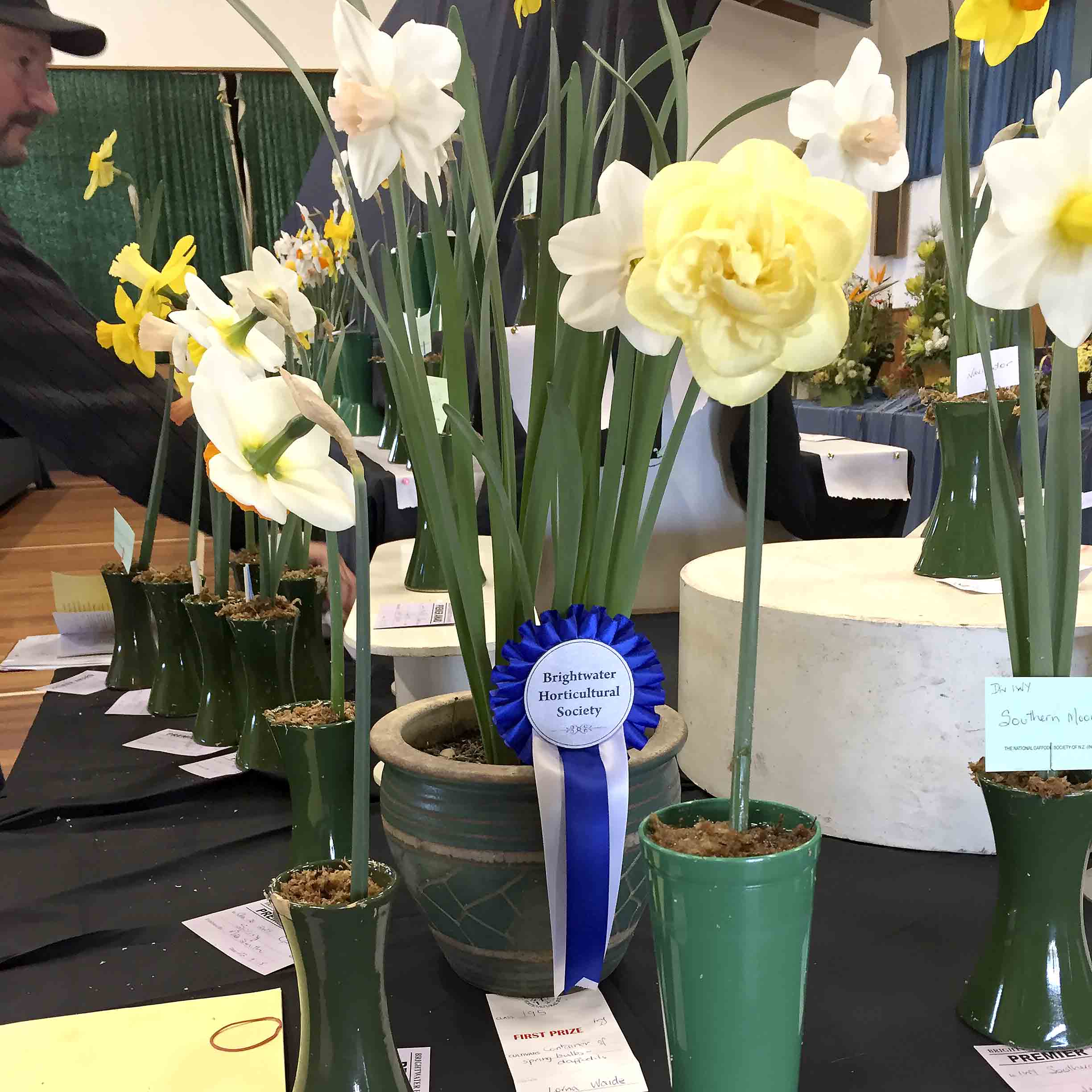 2018 Spring Flower Show Photos | Brightwater Horticultural Society