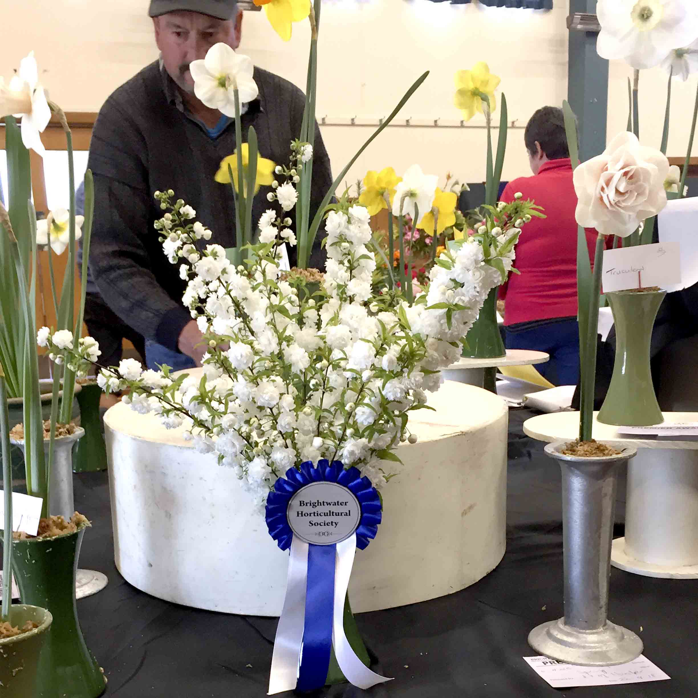2018 Spring Flower Show Photos | Brightwater Horticultural Society