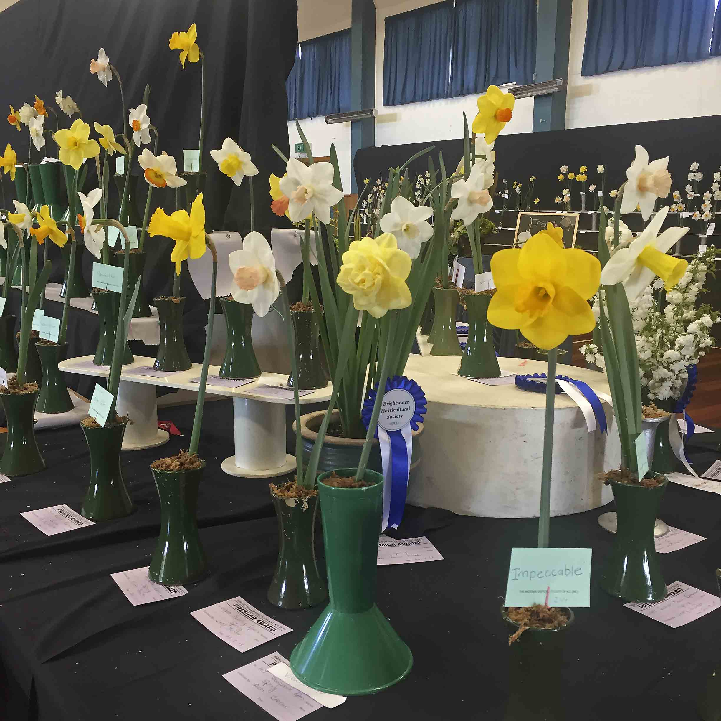 2018 Spring Flower Show Photos | Brightwater Horticultural Society