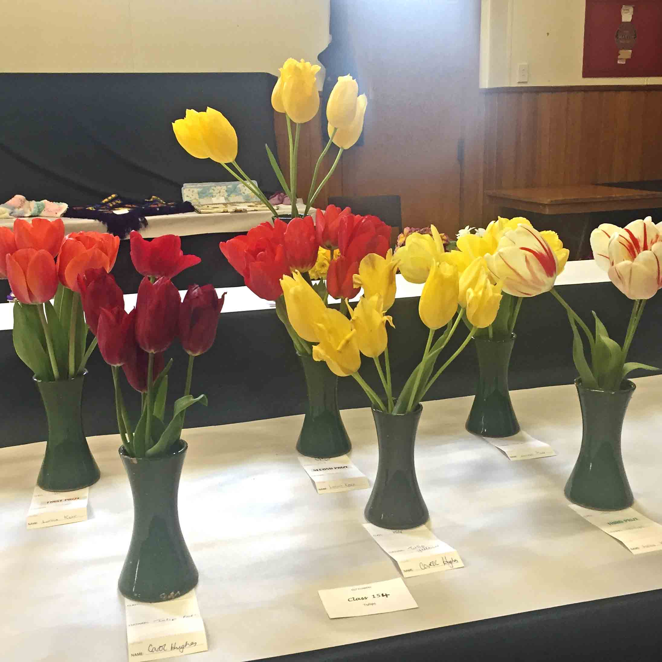 2018 Spring Flower Show Photos | Brightwater Horticultural Society