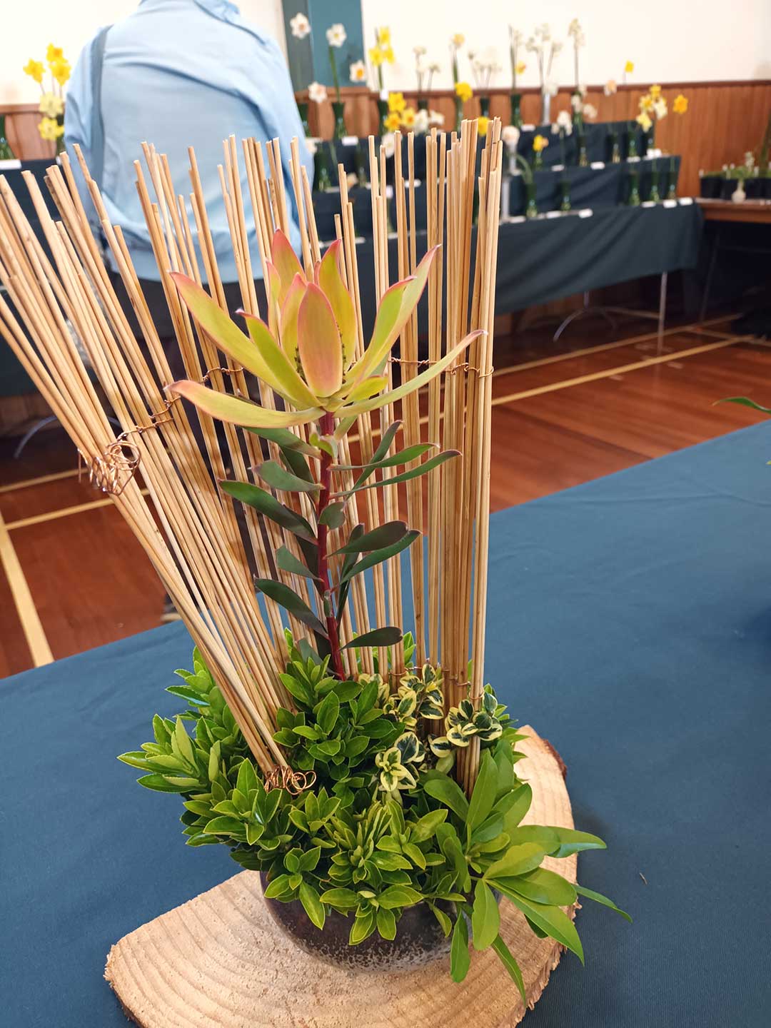 2022 Spring Flower Show Results | Brightwater Horticultural Society