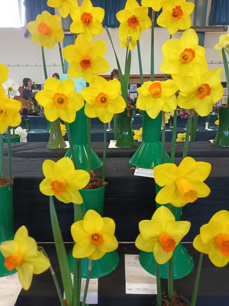 2022 Spring Flower Show Results | Brightwater Horticultural Society
