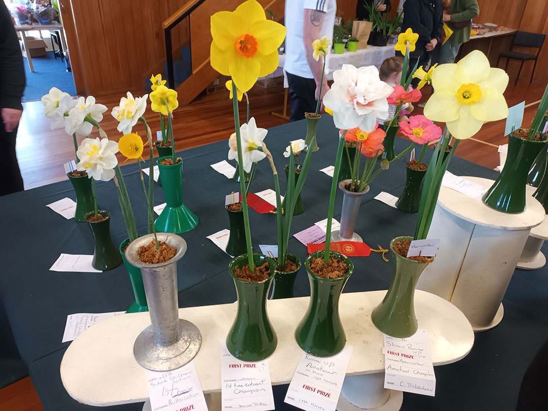 2022 Spring Flower Show Results | Brightwater Horticultural Society
