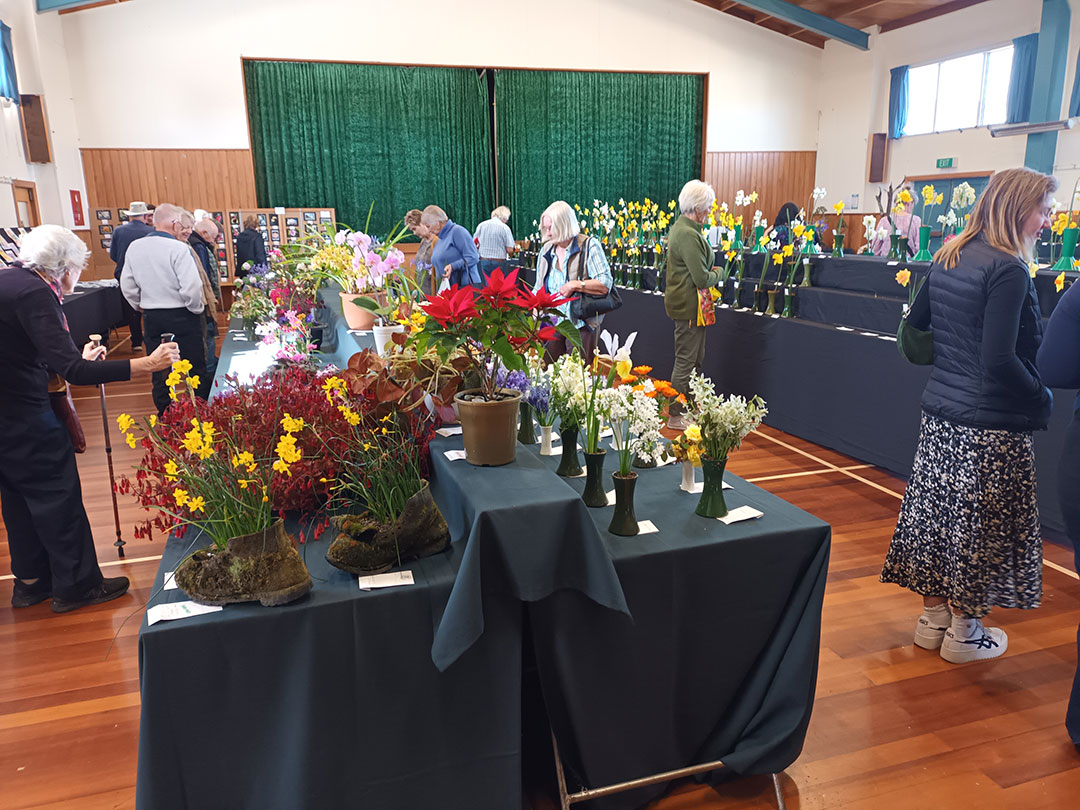 2022 Spring Flower Show Results | Brightwater Horticultural Society