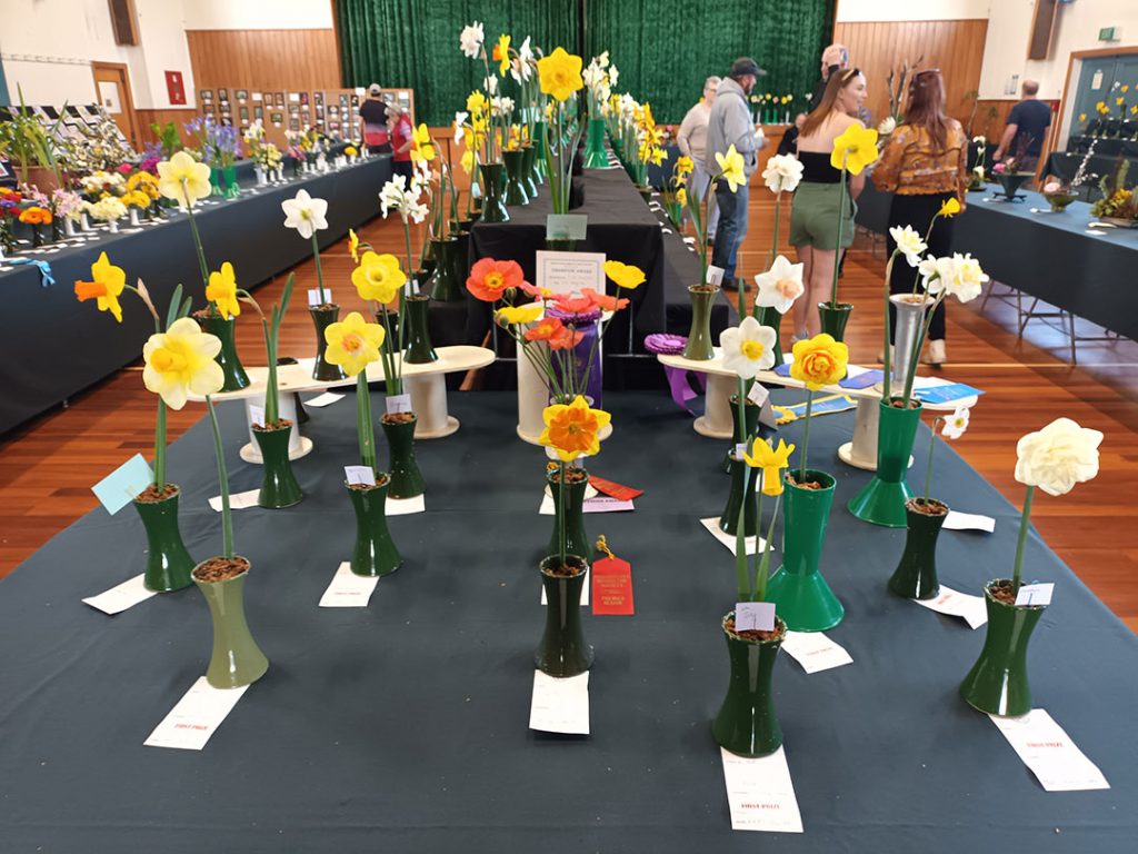 2022 Spring Flower Show Results | Brightwater Horticultural Society