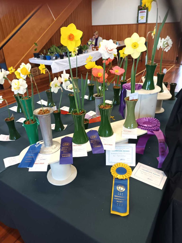 2022 Spring Flower Show Results | Brightwater Horticultural Society