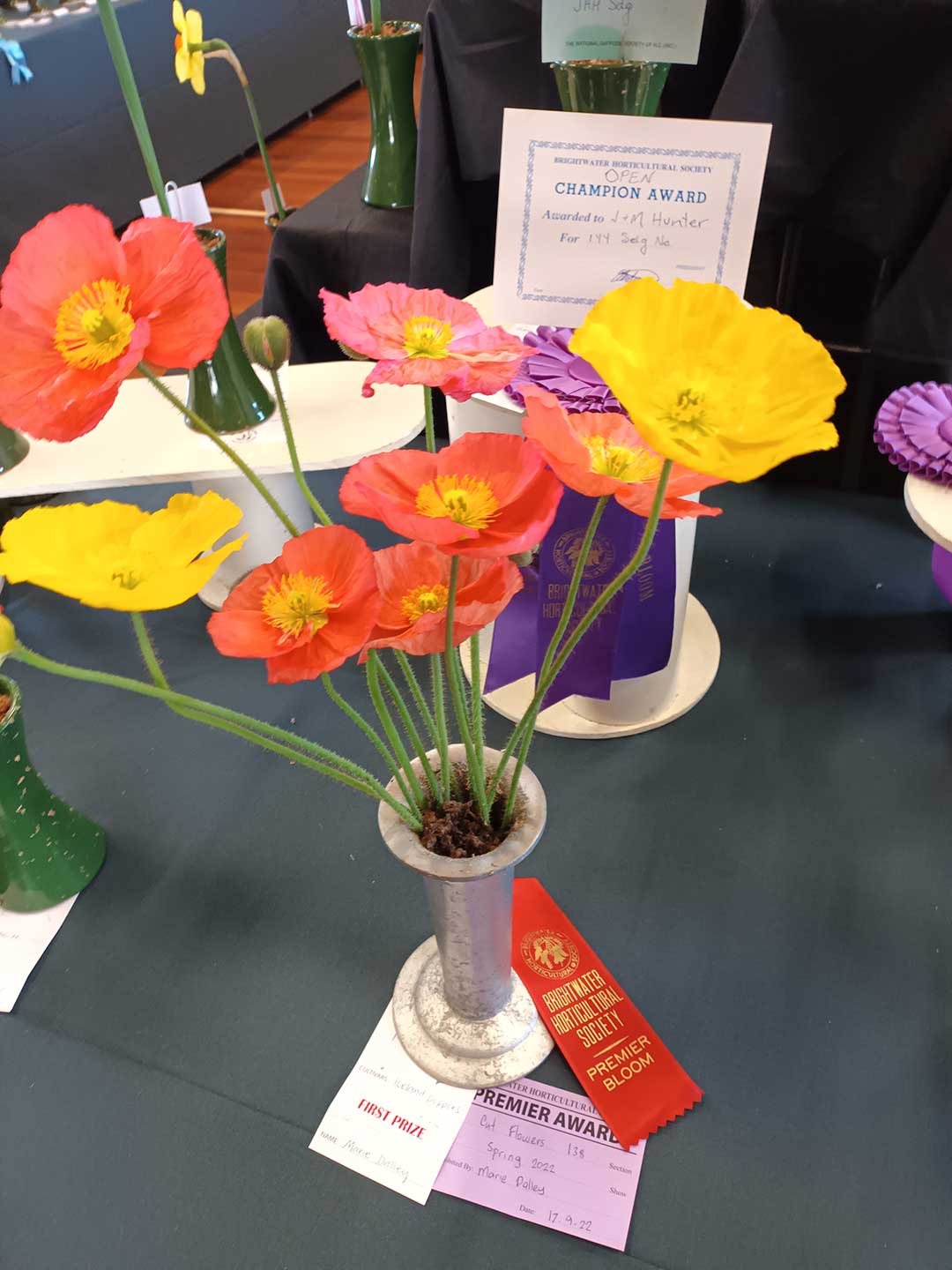 2022 Spring Flower Show Results | Brightwater Horticultural Society