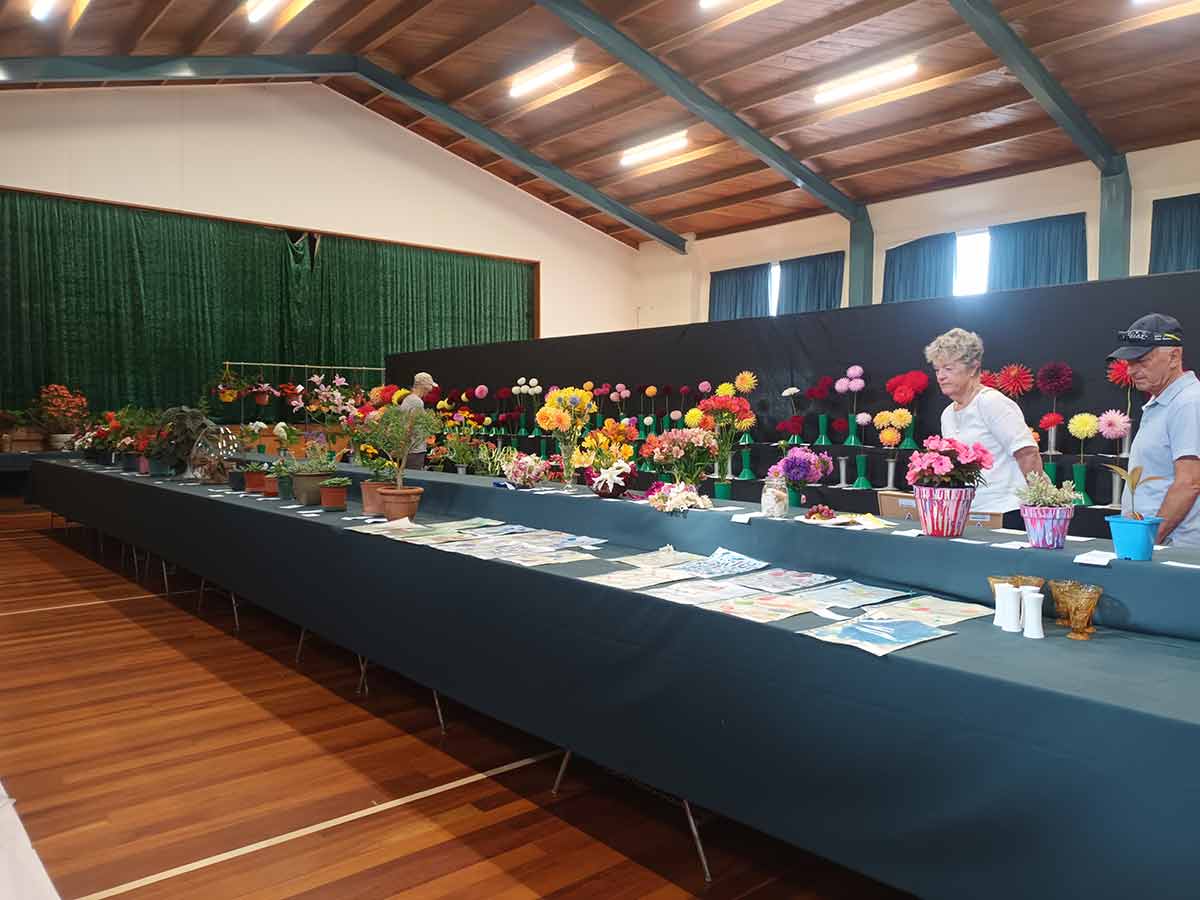 2023 Summer Flower Show Results | Brightwater Horticultural Society
