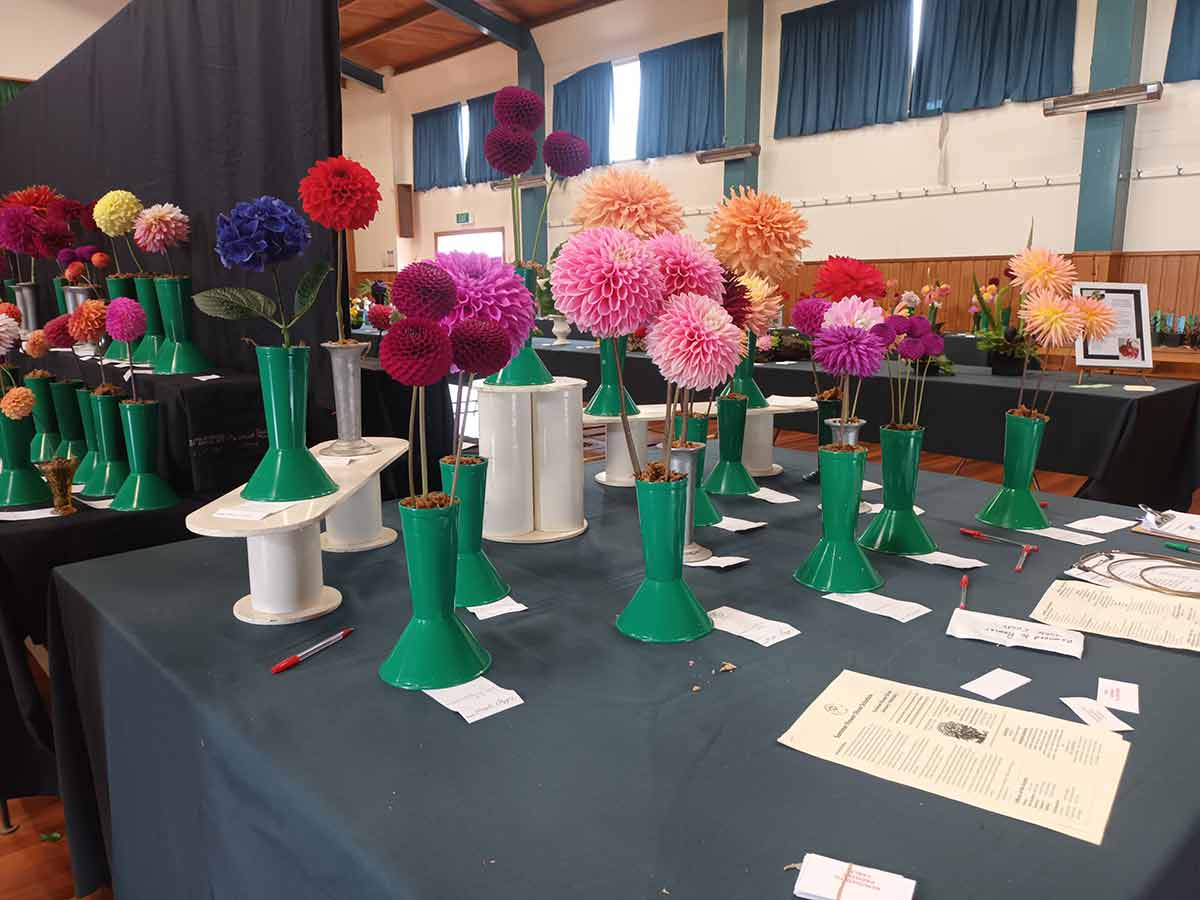 2023 Summer Flower Show Results | Brightwater Horticultural Society