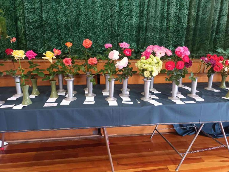 2023 Summer Flower Show Results | Brightwater Horticultural Society