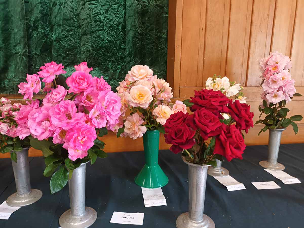 2023 Summer Flower Show Results | Brightwater Horticultural Society