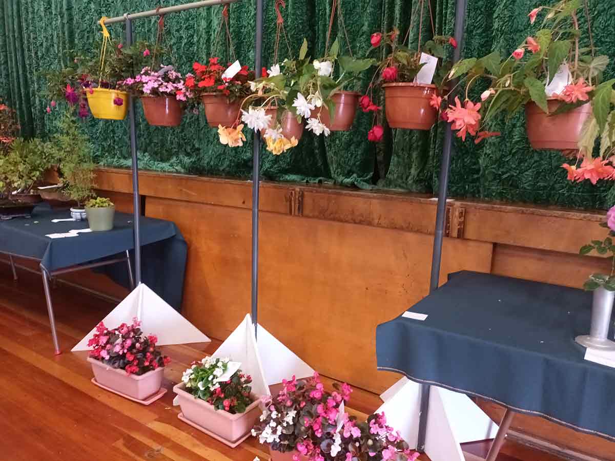 2023 Summer Flower Show Results | Brightwater Horticultural Society