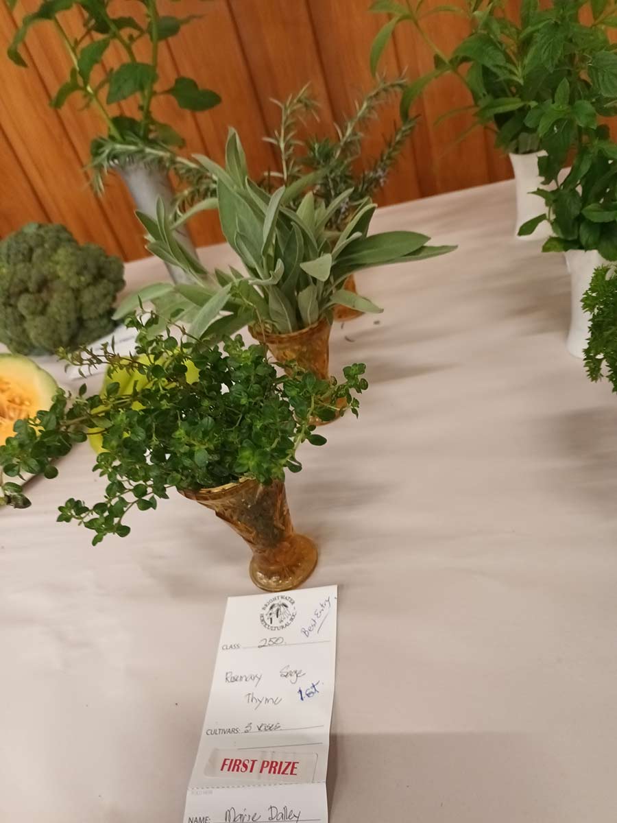 2023 Summer Flower Show Results | Brightwater Horticultural Society