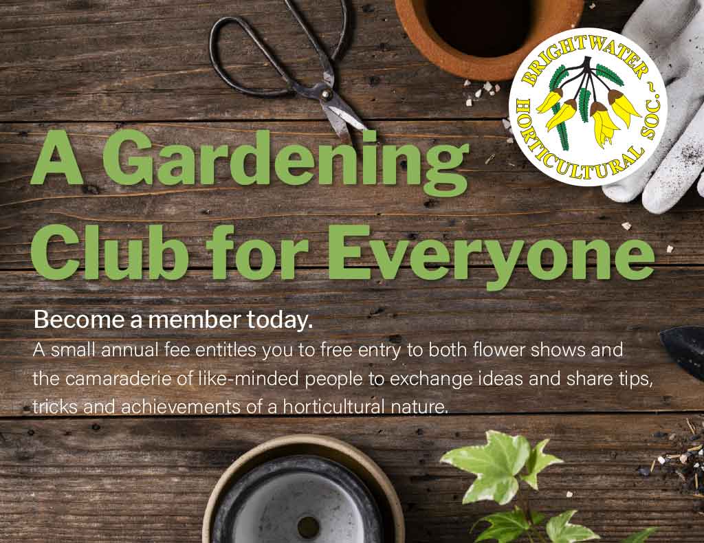 Gardening Club Tasman District | Brightwater Horticultural Society