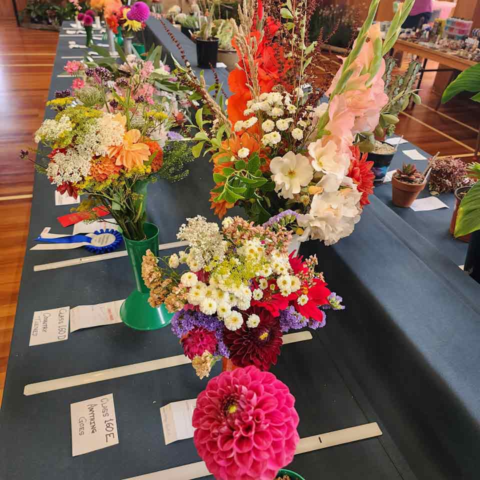 2024 Summer Flower Show Results | Brightwater Horticultural Society