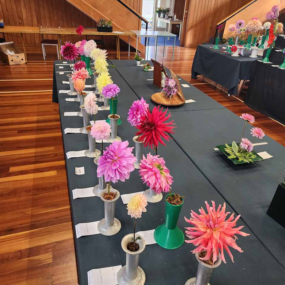 2024 Summer Flower Show Results | Brightwater Horticultural Society