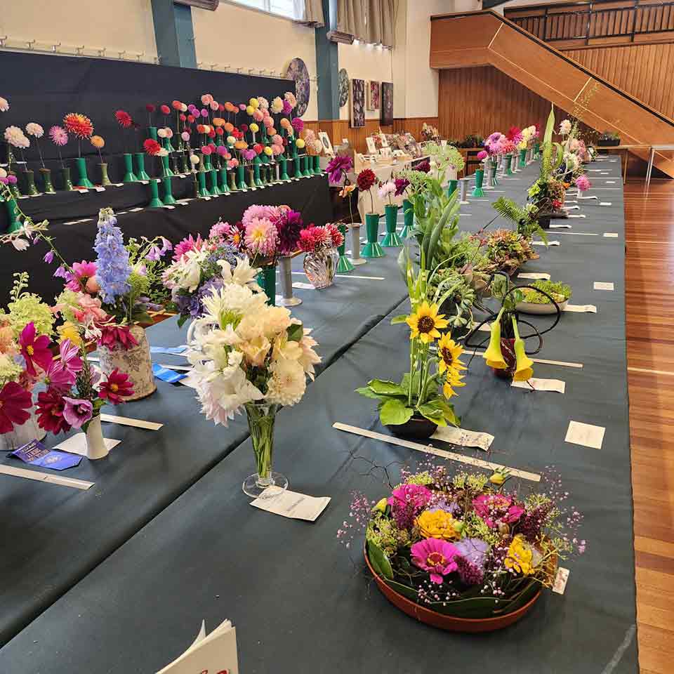 2024 Summer Flower Show Results | Brightwater Horticultural Society