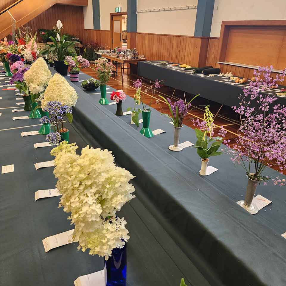 2024 Summer Flower Show Results | Brightwater Horticultural Society