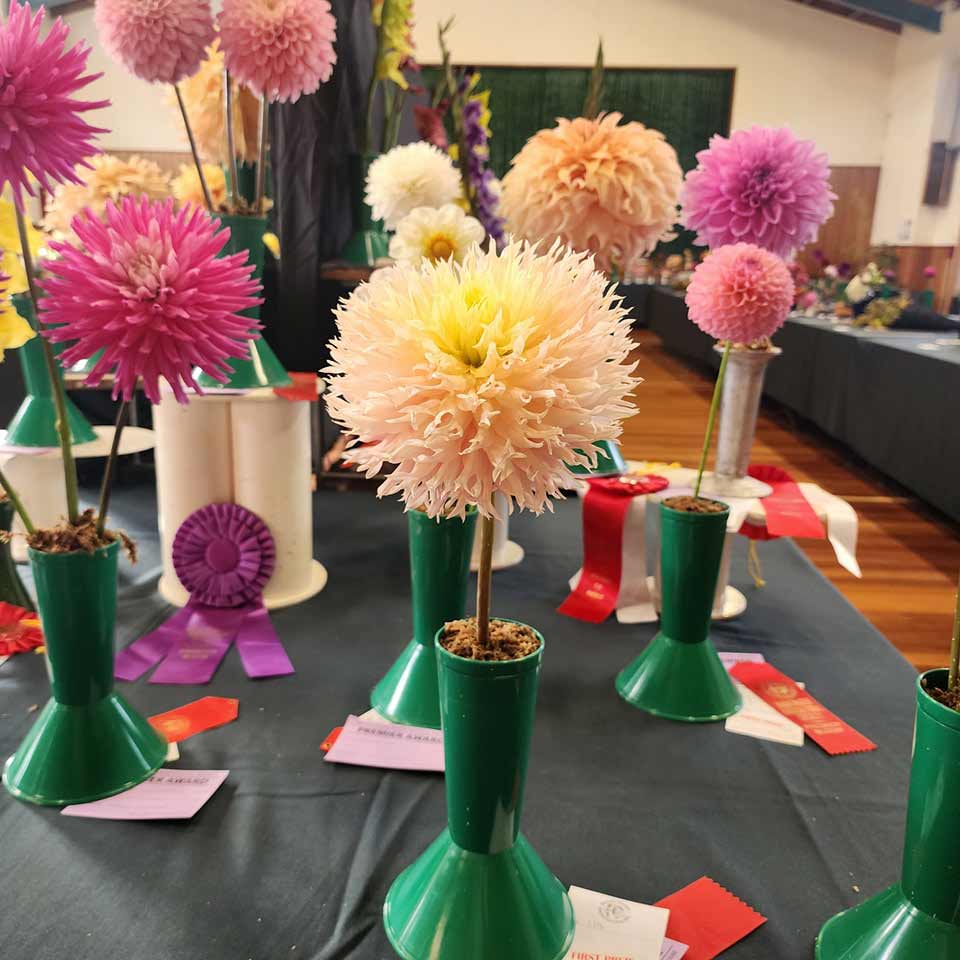 2024 Summer Flower Show Results | Brightwater Horticultural Society