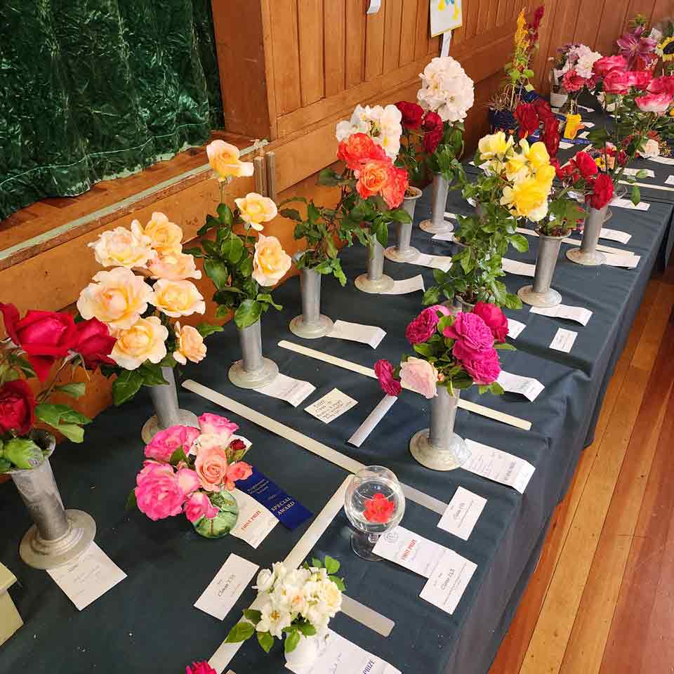 2024 Summer Flower Show Results | Brightwater Horticultural Society