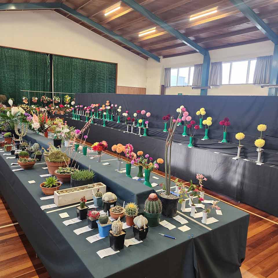 2024 Summer Flower Show Results | Brightwater Horticultural Society