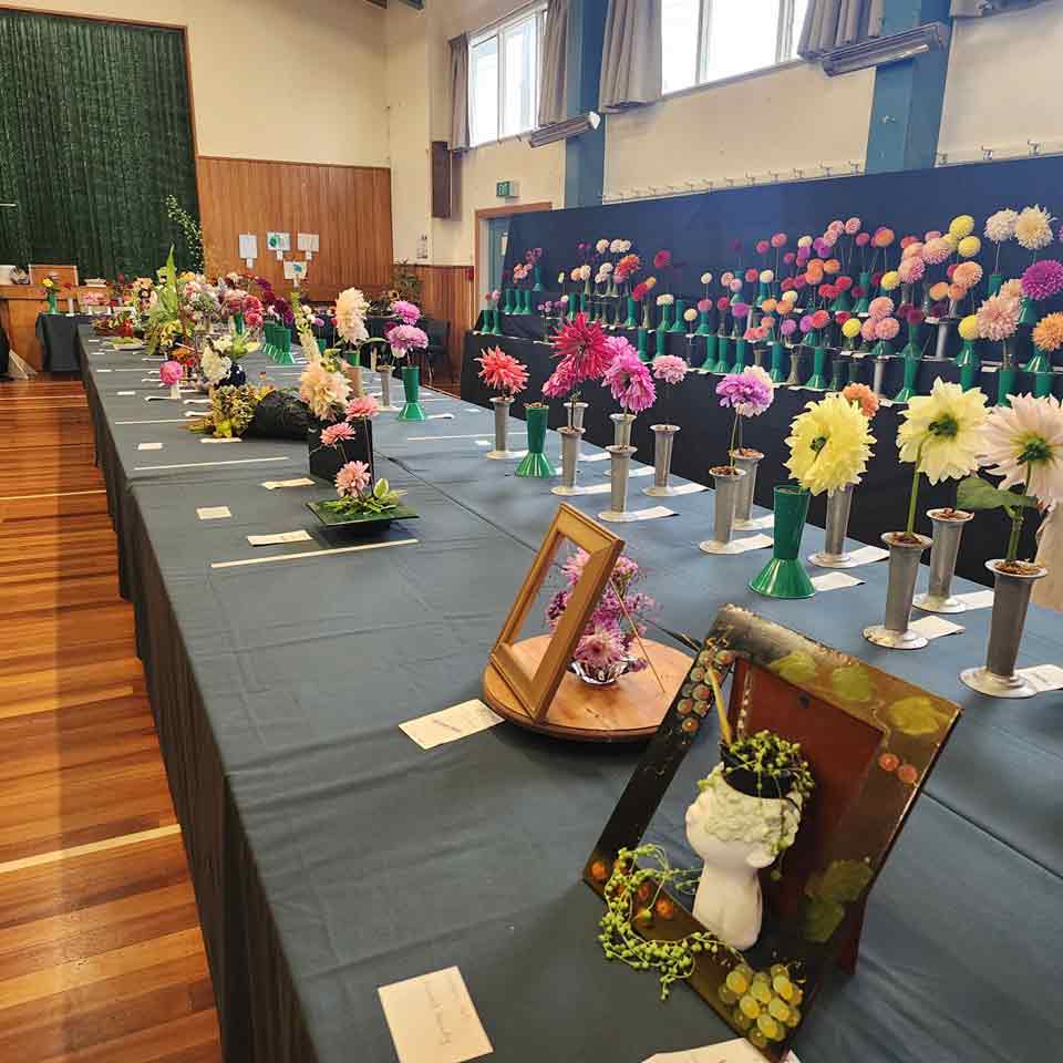 2024 Summer Flower Show Results | Brightwater Horticultural Society