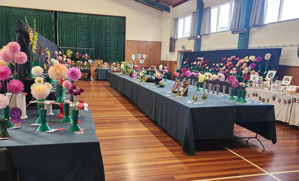 2024 Summer Flower Show Results | Brightwater Horticultural Society