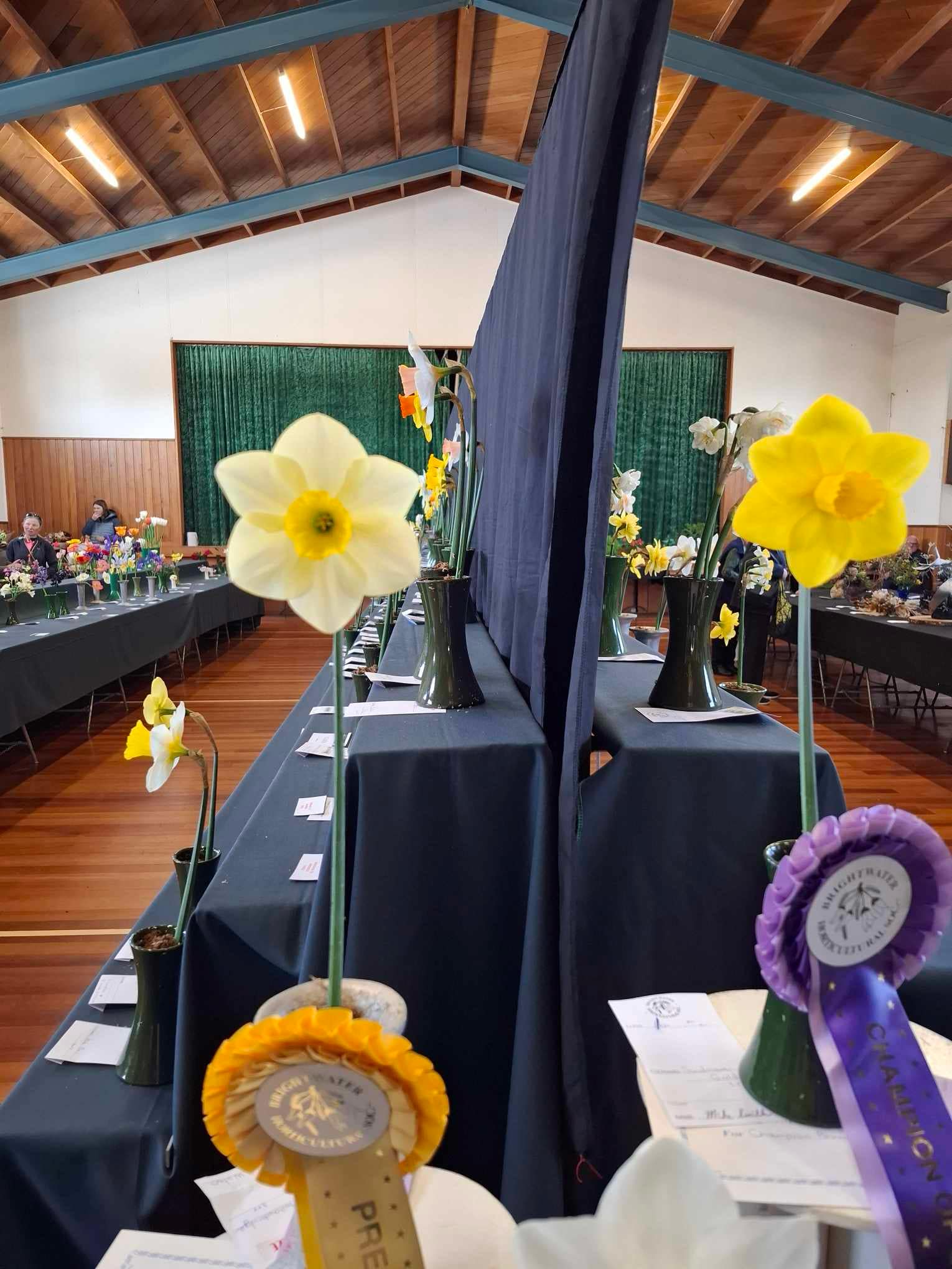 2024 Spring Flower Show Results | Brightwater Horticultural Society