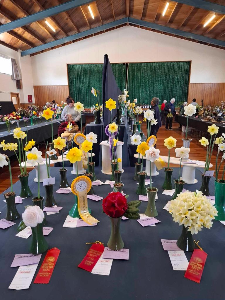 2024 Spring Flower Show Results | Brightwater Horticultural Society